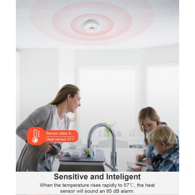 CPVAN Interconnect Smoke Detector and Heat Alarm with Remote 10 Years ...