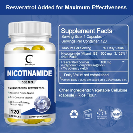 Greenpeople Nicotinamide Capsule Vitamin B3 Supplement Eliminates ...